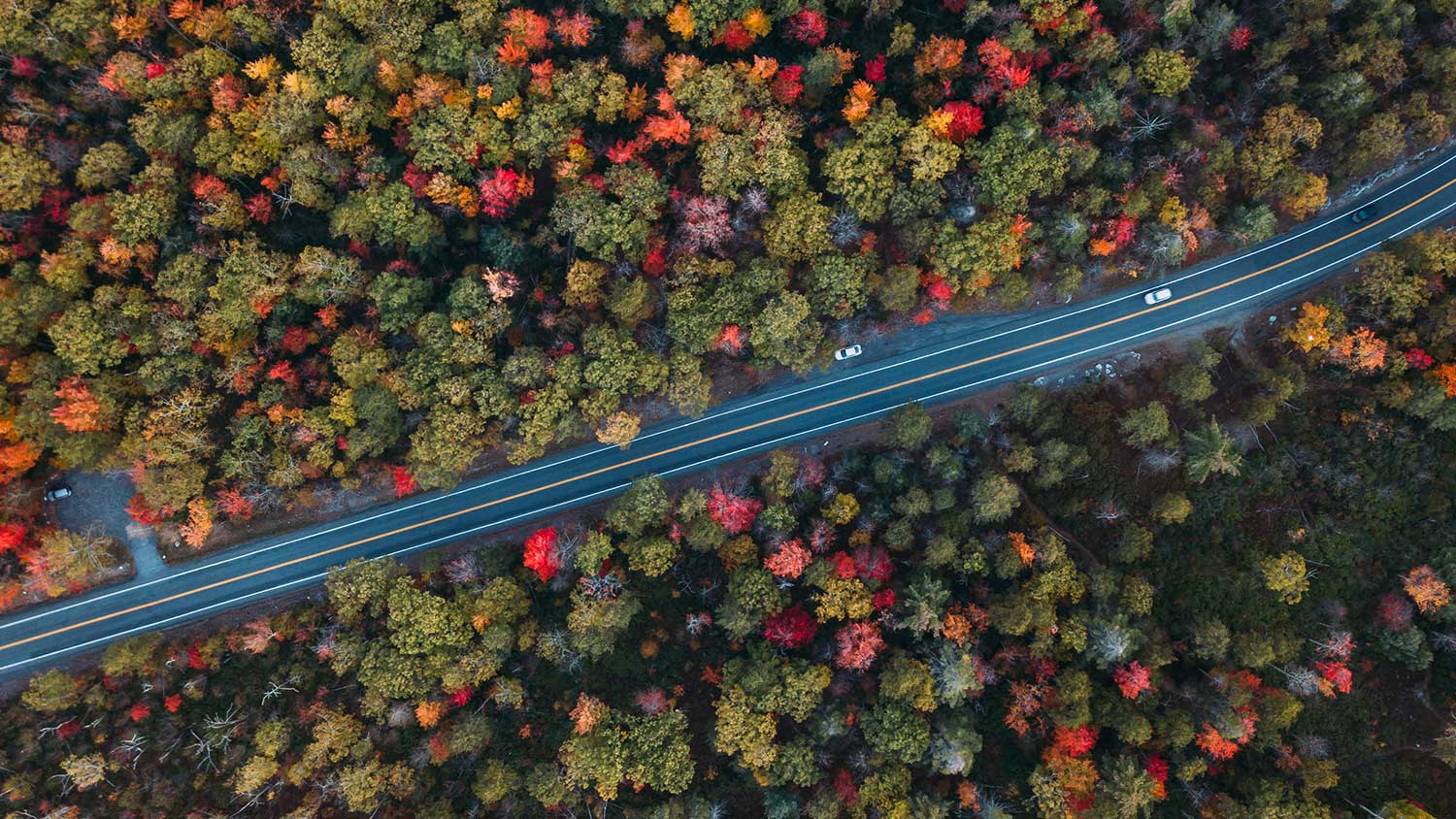 TwentyFour Short Term Bond | TwentyFour Asset Management