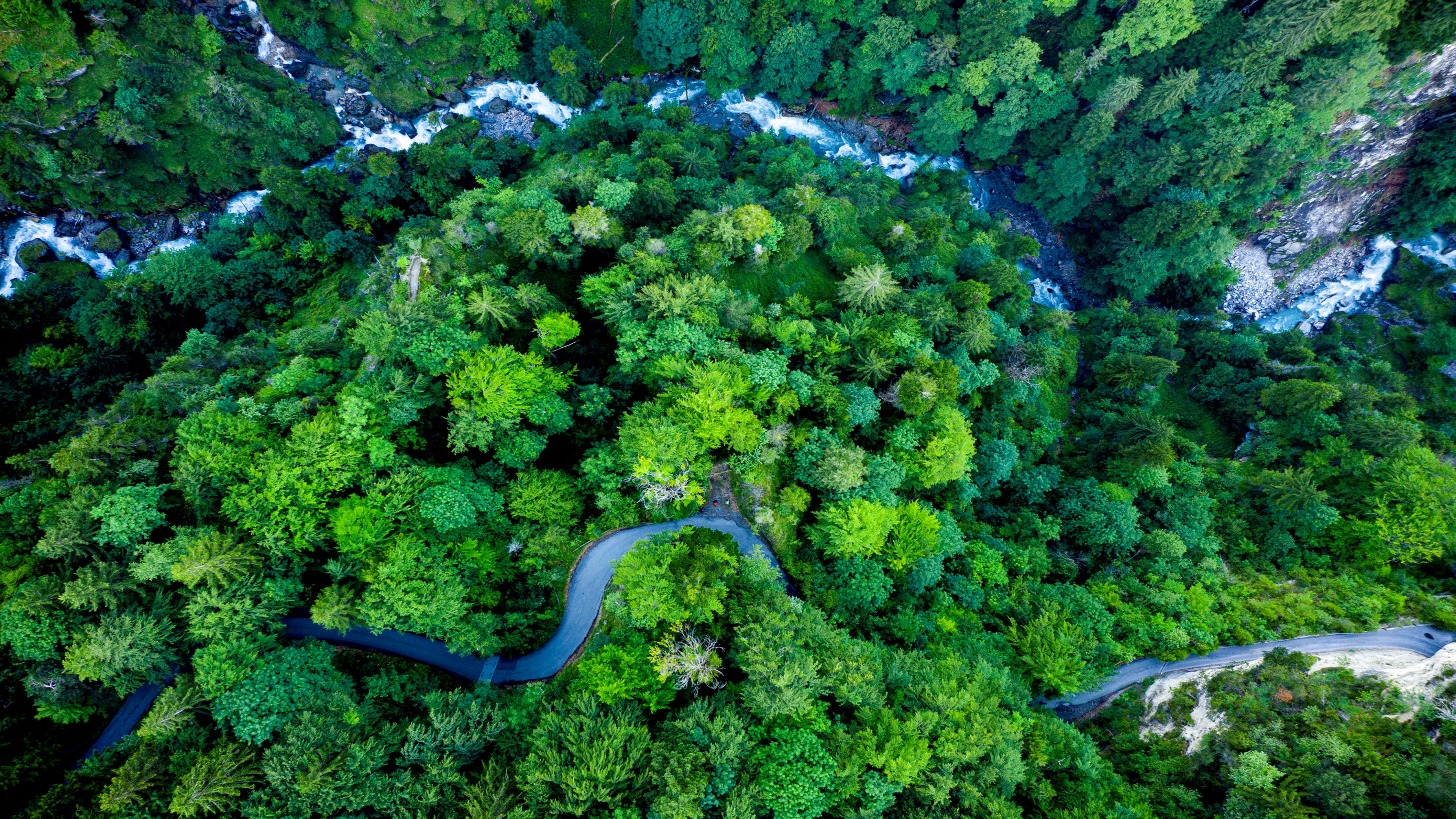 Fixed Income and ESG - where are we now? | TwentyFour Asset Management