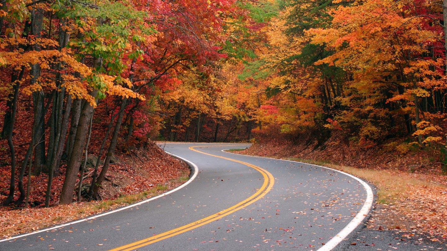 Back to Basics: Yield curves | TwentyFour Asset Management