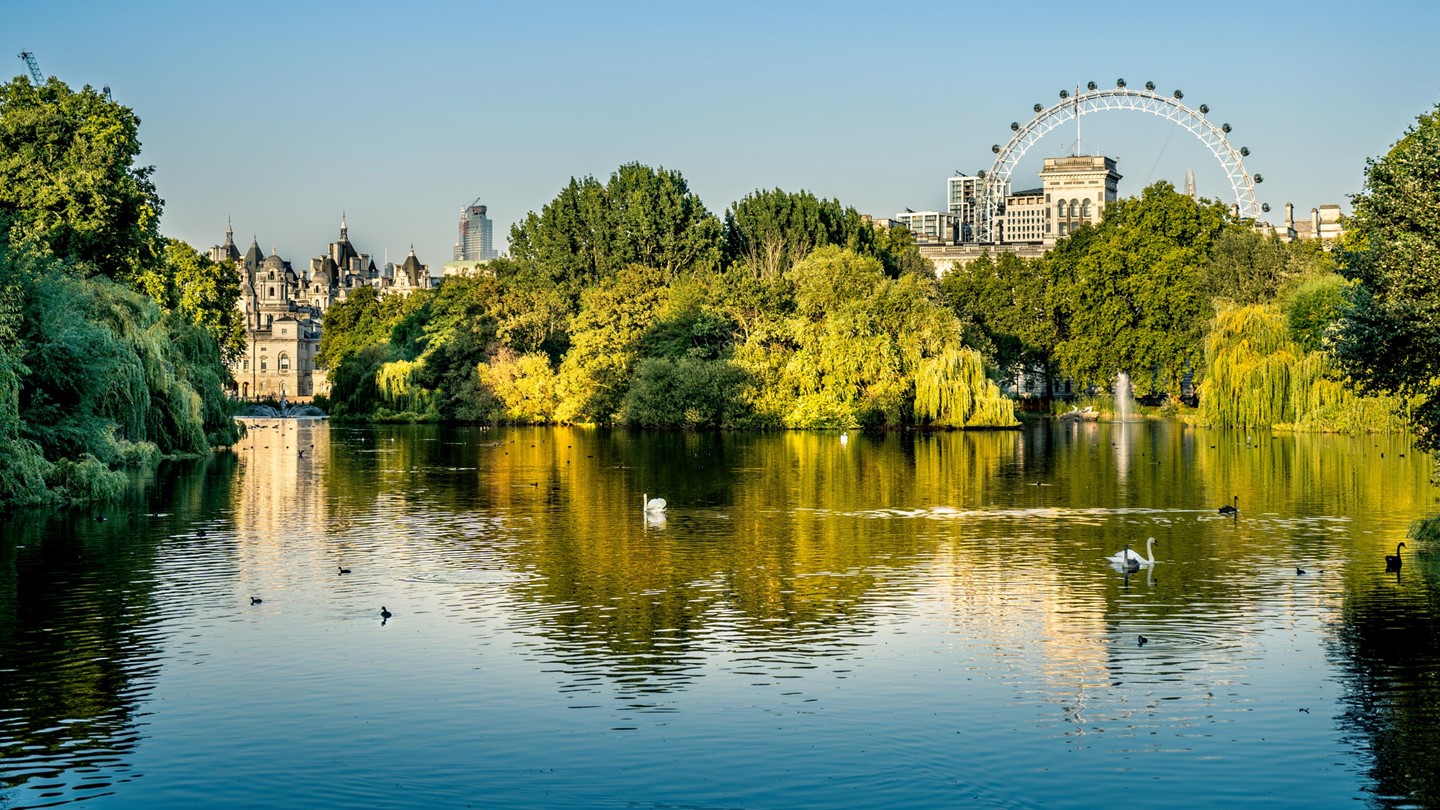 TwentyFour Income Fund and Asset Backed Opportunities Fund awarded AA ...