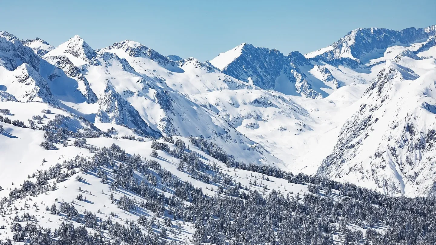 Investment Grade | TwentyFour Asset Management